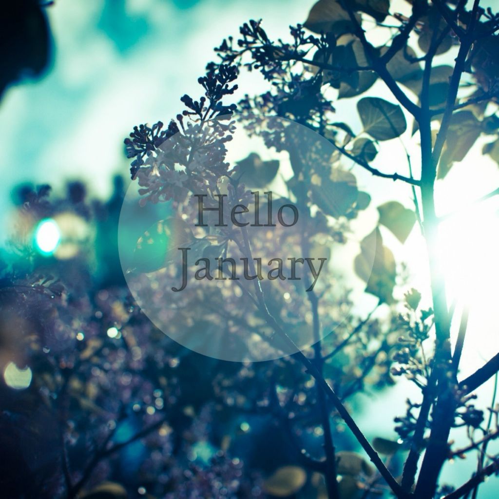 Hello January Pictures, Photos, and Images for Facebook, Tumblr ...