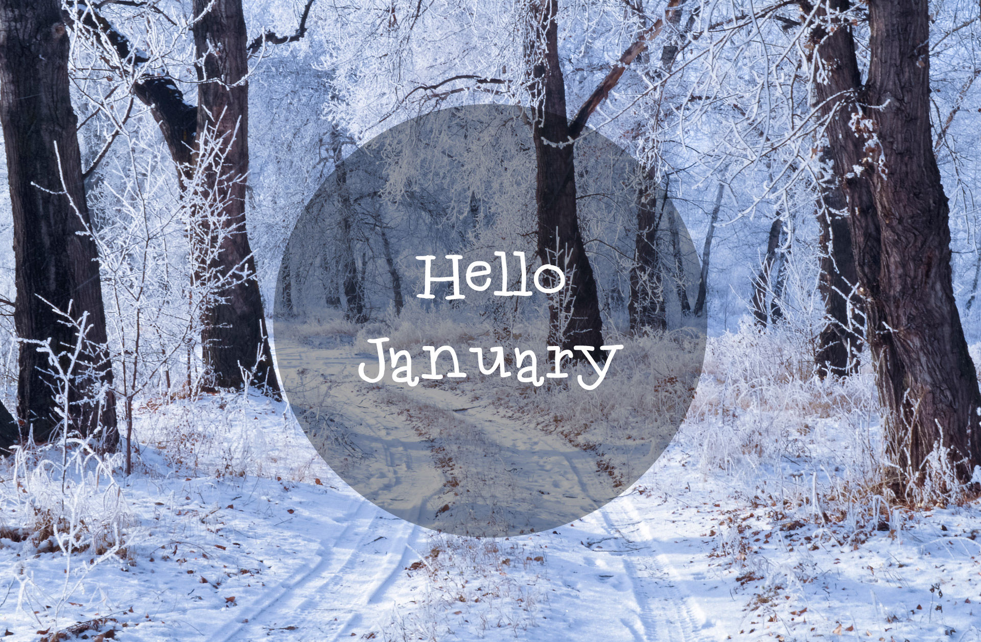 Hello January Pictures, Photos, and Images for Facebook, Tumblr ...