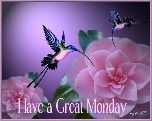 Have A Great Monday Pictures, Photos, and Images for Facebook, Tumblr ...
