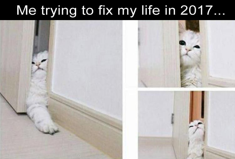 Me Trying To Fix My Life In 2017 Pictures, Photos, and Images for ...