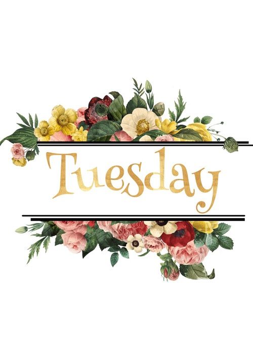 Tuesday Pictures, Photos, and Images for Facebook, Tumblr, Pinterest ...