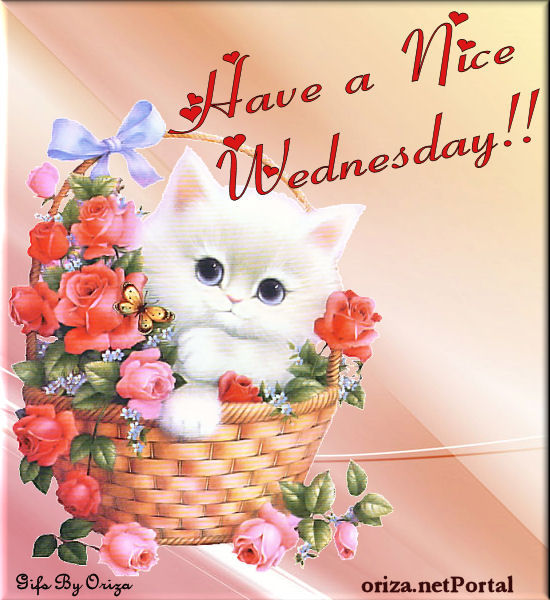 Have A Nice Wednesday Pictures, Photos, and Images for Facebook, Tumblr ...
