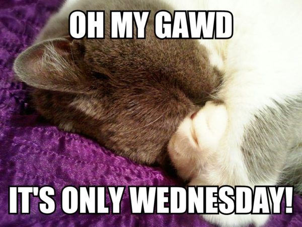 Oh My Gawd It's Only Wednesday! Pictures, Photos, and Images for ...