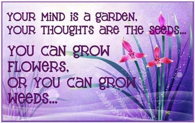 Your Mind Is A Garden, Your Thoughts Are The Seeds....You Can Grow ...