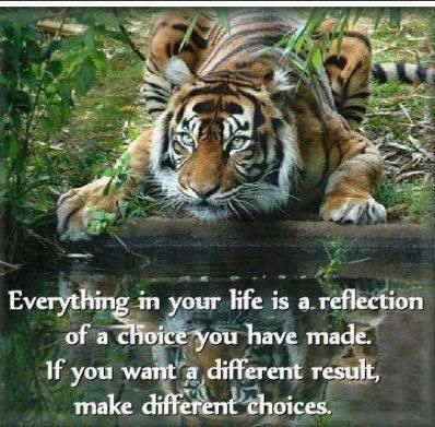 Everything In Your Life Is A Reflection Of A Choice You Have Made ...