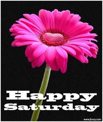 Happy Saturday Pictures, Photos, and Images for Facebook, Tumblr ...