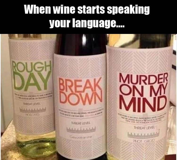 When Wine Starts Speaking Your Language Pictures, Photos, and Images ...
