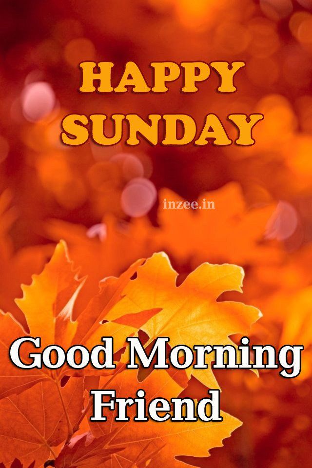 Happy Sunday, Good Morning Friend Pictures, Photos, and Images for ...