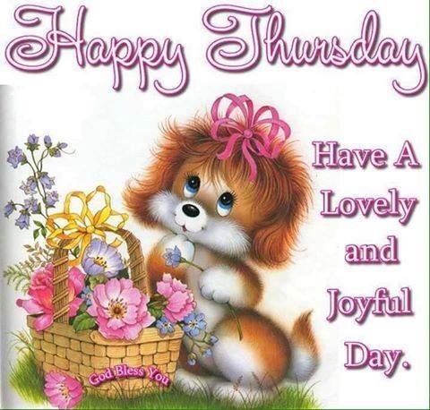 Happy Thursday Pictures, Photos, and Images for Facebook, Tumblr ...
