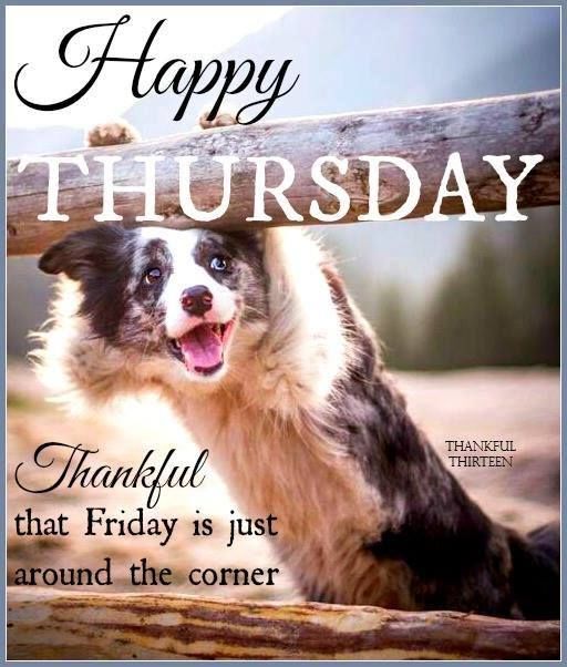 Happy Thursday, Thankful That Friday Is Just Around The Corner Pictures ...