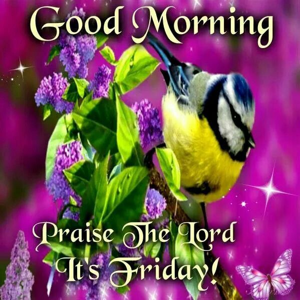 Good Morning, Praise The Lord It's Friday! Pictures, Photos, and Images ...