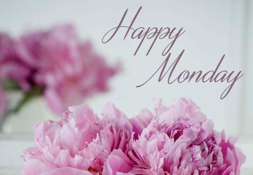 Happy Monday Pictures, Photos, and Images for Facebook, Tumblr ...