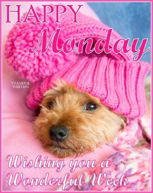 Happy Monday Pictures, Photos, and Images for Facebook, Tumblr ...