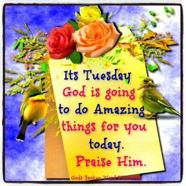 Its Tuesday, God Is Going To Do Amazing Things For You Today. Praise ...
