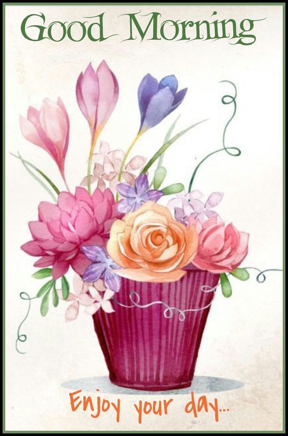 Good Morning, Enjoy Your Day Pictures, Photos, and Images for Facebook ...