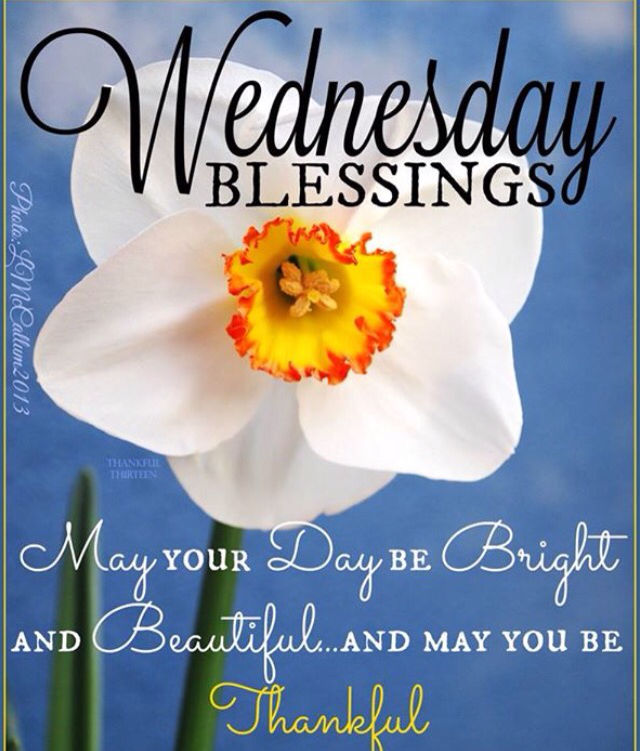 Wednesday Blessings, May Your Day Be Bright And Beautiful Pictures, Photos, and Images for ...