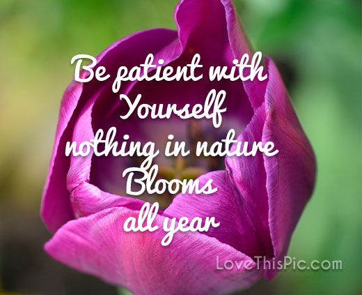 Be Patient Pictures, Photos, and Images for Facebook, Tumblr, Pinterest ...