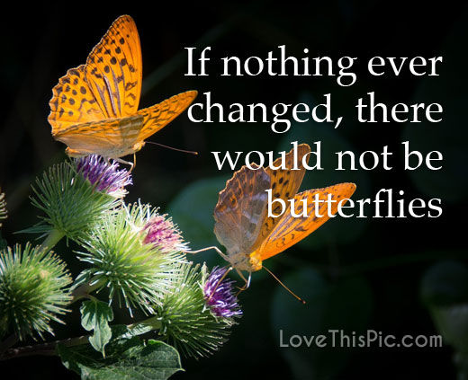 If Nothing Ever Changed Pictures Photos And Images For Facebook