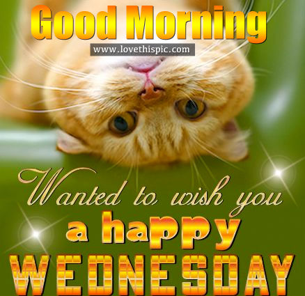 Good Morning, Wanted To Wish You A Happy Wednesday Pictures, Photos ...