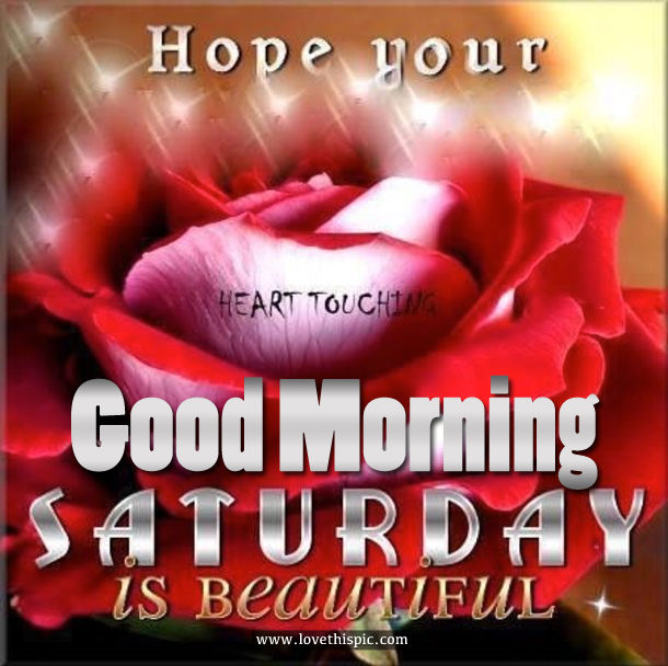 Hope Your Saturday Is Beautiful, Good Morning Pictures, Photos, and ...