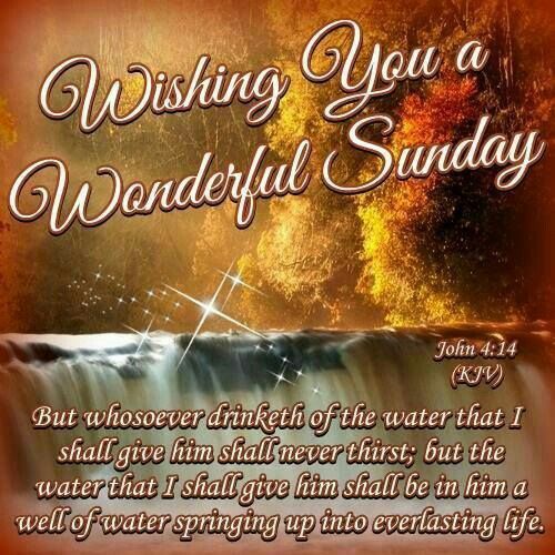 Wishing You A Wonderful Sunday Pictures, Photos, and Images for ...