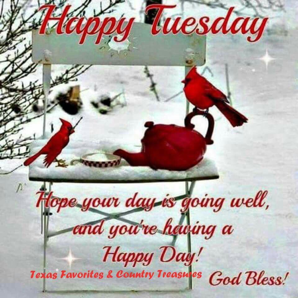 Happy Tuesday Pictures, Photos, and Images for Facebook, Tumblr ...