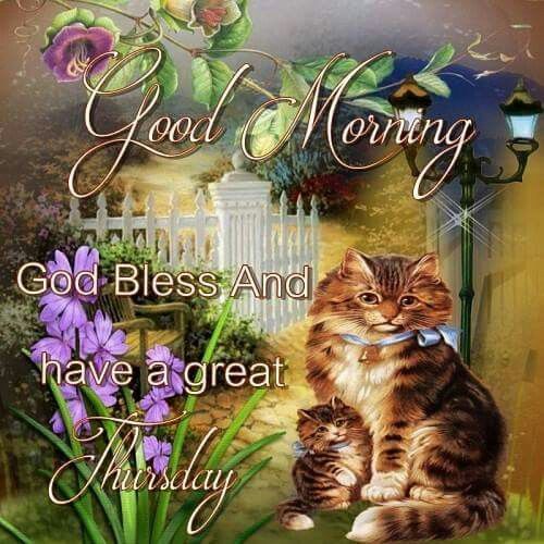 Good Morning, God Bless And Have A Great Thursday Pictures, Photos, and ...