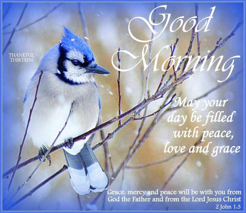 Good Morning May Your Day Be Filled With Joy And Grace Pictures, Photos ...