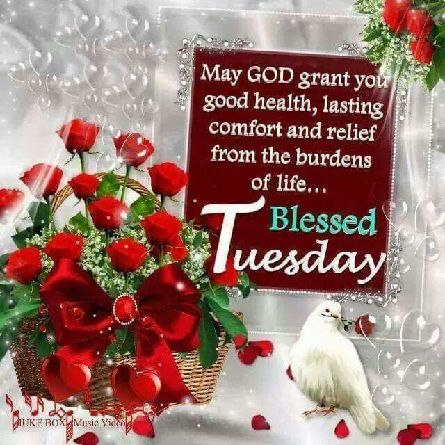 Blessed Tuesday Pictures, Photos, and Images for Facebook, Tumblr ...