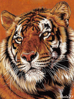 Tiger Animation Pictures, Photos, and Images for Facebook, Tumblr ...