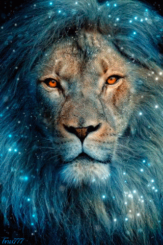Magical Lion Pictures, Photos, and Images for Facebook, Tumblr ...