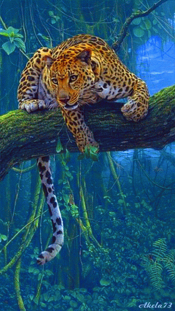 Leopard Animation Pictures, Photos, and Images for Facebook, Tumblr ...