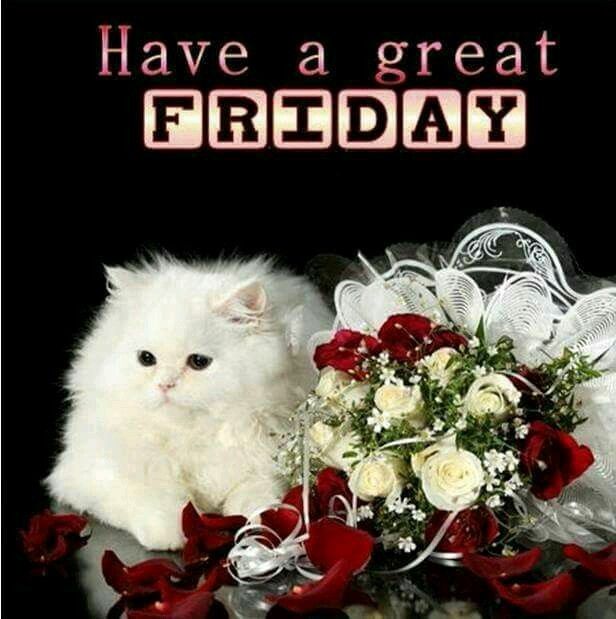 Have A Great Friday Pictures, Photos, and Images for Facebook, Tumblr ...