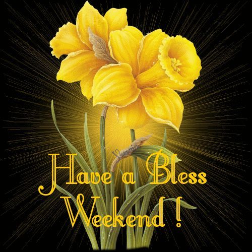 Have A Bless Weekend! Pictures, Photos, and Images for Facebook, Tumblr ...