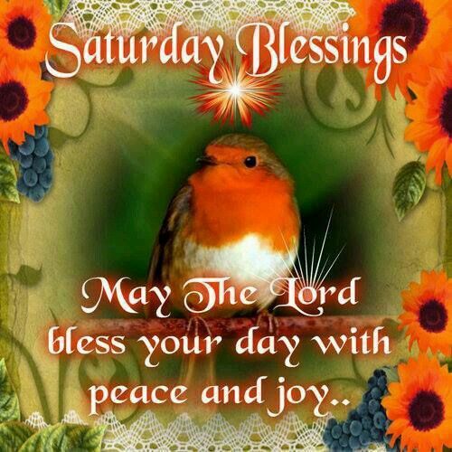 Saturday Blessings, May The Lord Bless Your Day With Peace And Joy ...