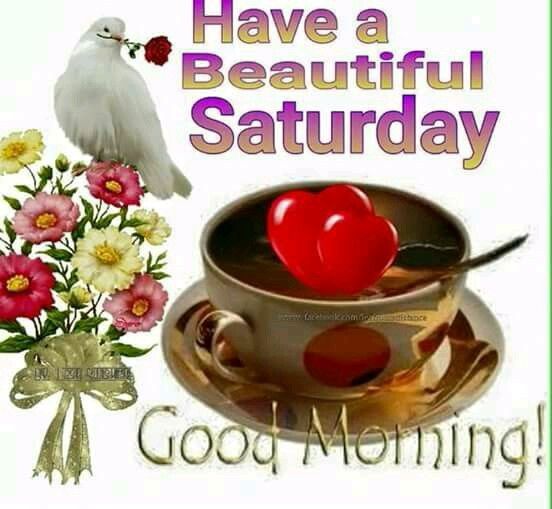 Have A Beautiful Saturday, Good Morning Pictures, Photos, and Images ...