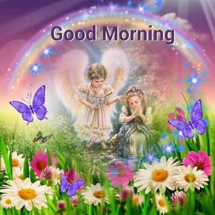 Good Morning Pictures, Photos, and Images for Facebook, Tumblr ...