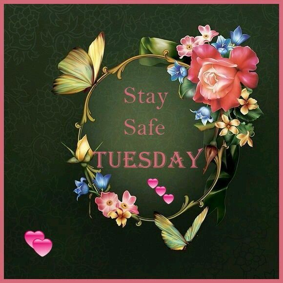 Stay Safe Tuesday Pictures, Photos, and Images for Facebook, Tumblr ...