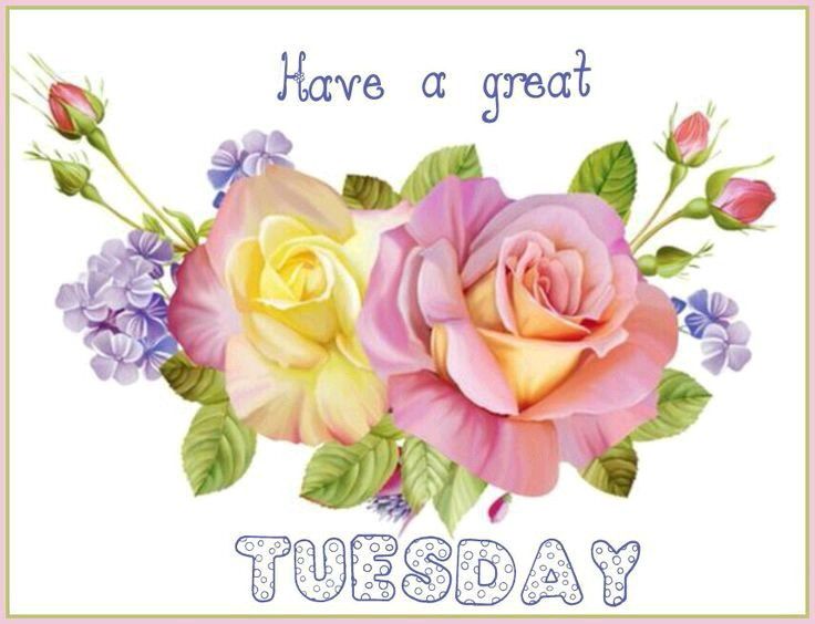 Have A Great Tuesday Pictures, Photos, and Images for Facebook, Tumblr ...