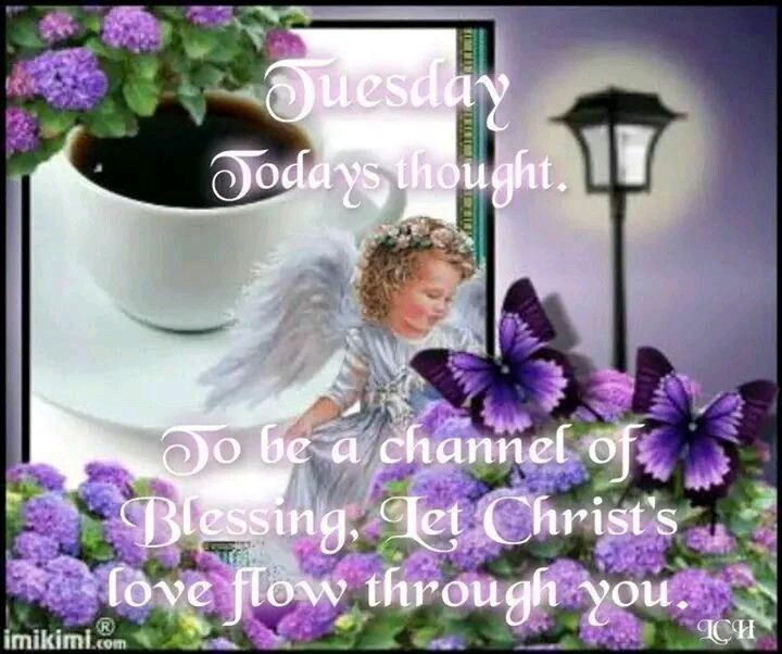 Tuesday Todays Thought Pictures, Photos, and Images for Facebook ...