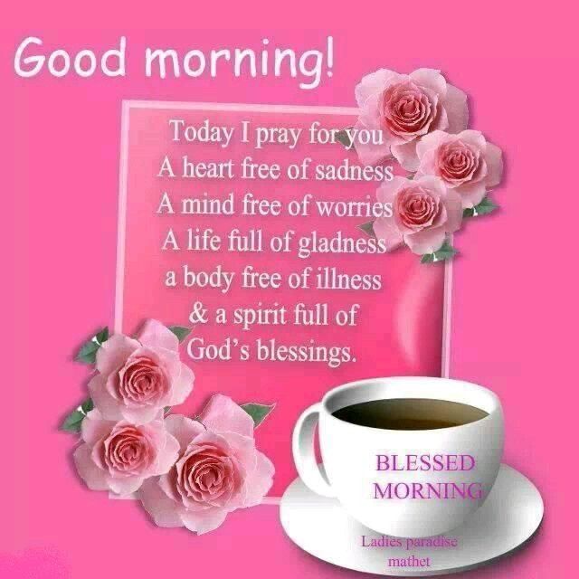 Good Morning! Blessed Morning Pictures, Photos, and Images for Facebook ...