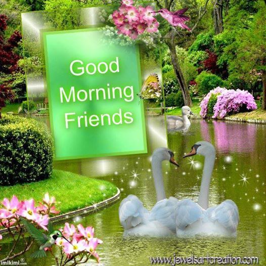 Good Morning Friends Pictures, Photos, and Images for Facebook, Tumblr ...