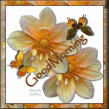 Good Morning Pictures, Photos, and Images for Facebook, Tumblr ...