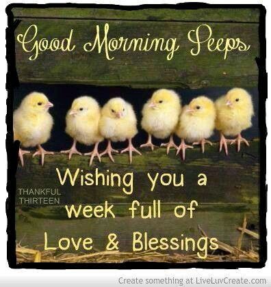Good Morning Peeps Pictures, Photos, and Images for Facebook, Tumblr ...