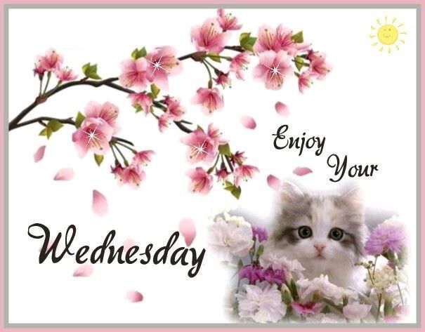 Enjoy Your Wednesday Pictures, Photos, and Images for Facebook, Tumblr ...