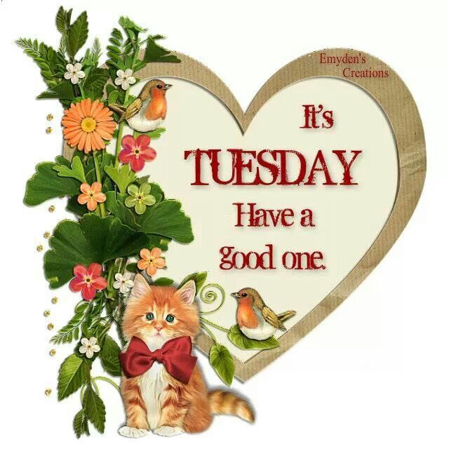 Its Tuesday Have A Good One Pictures, Photos, and Images for Facebook ...