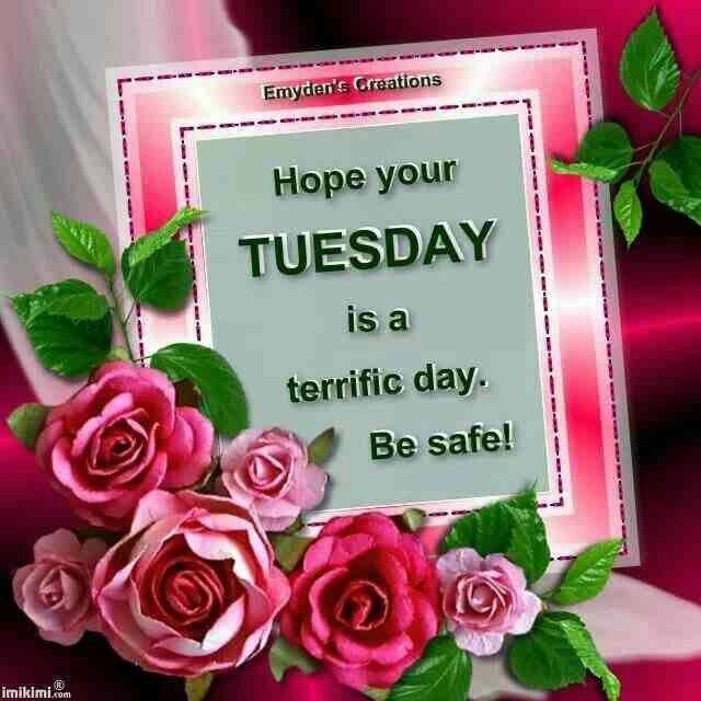 Hope Your Tuesday Is Terrific Pictures, Photos, and Images for Facebook ...
