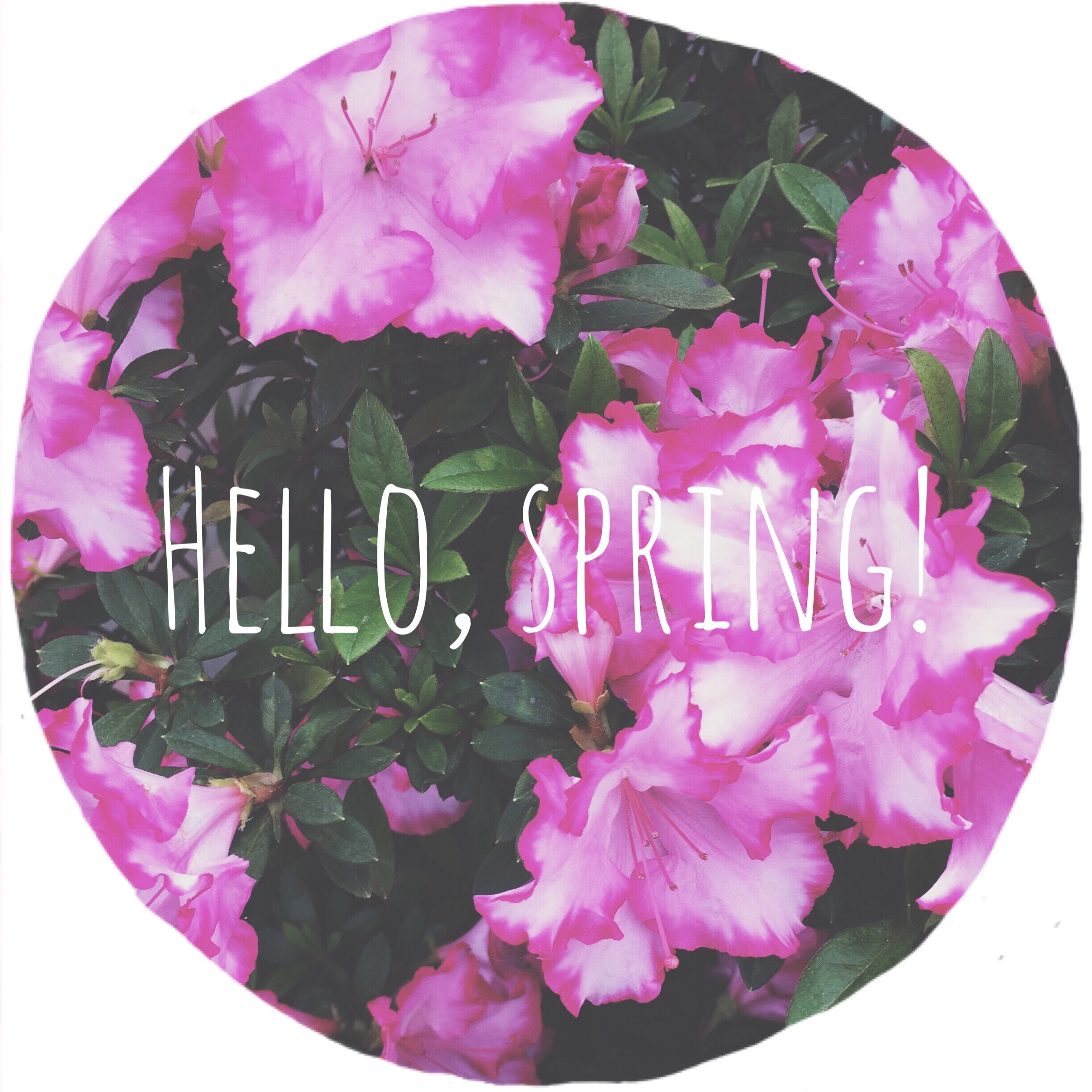 Hello Spring Pictures, Photos, and Images for Facebook, Tumblr ...