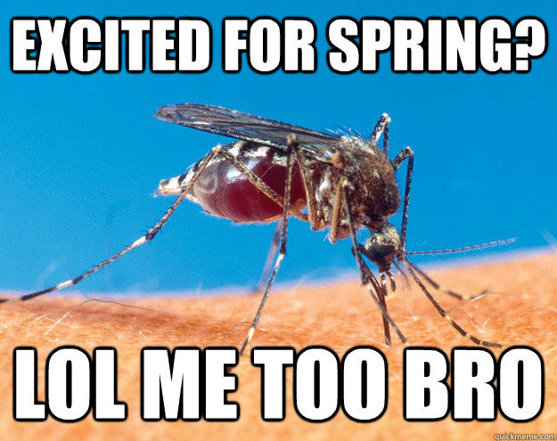Excited For Spring? LOL Me Too Bro Pictures, Photos, and Images for ...
