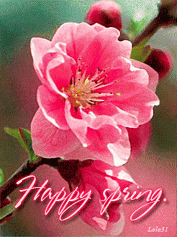 Happy Spring Pictures, Photos, and Images for Facebook, Tumblr ...